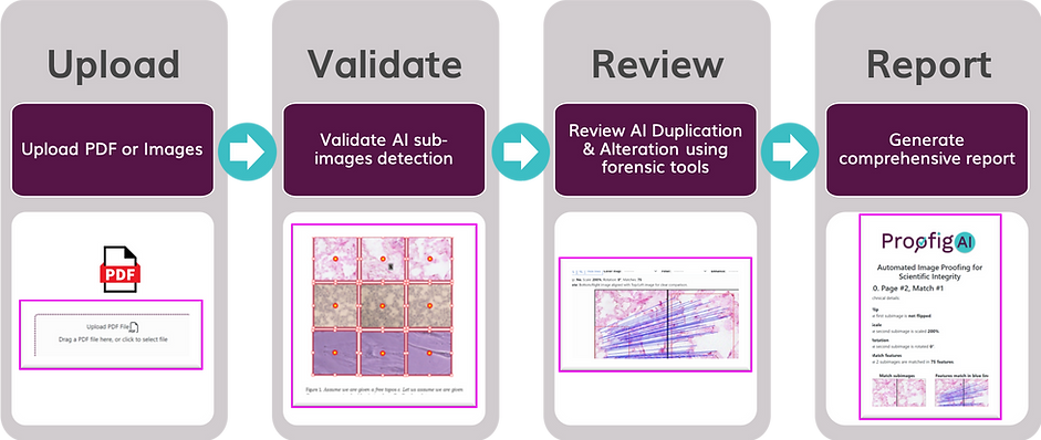 Proofig AI | Upholding Research Integrity with AI Image Detector & Plagiarism Checker